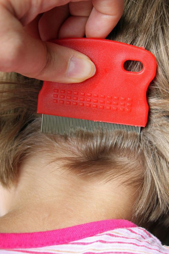 Was tun bei Kopfläuse? | eNu Umweltbildung